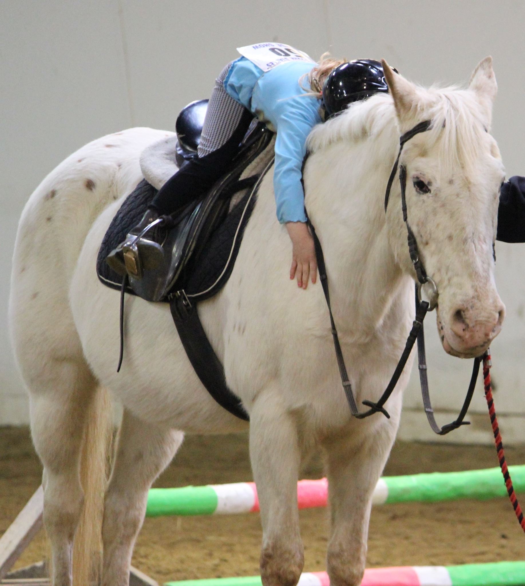 ‘An anchor to the area:’ Community cries out to save beloved stables ...