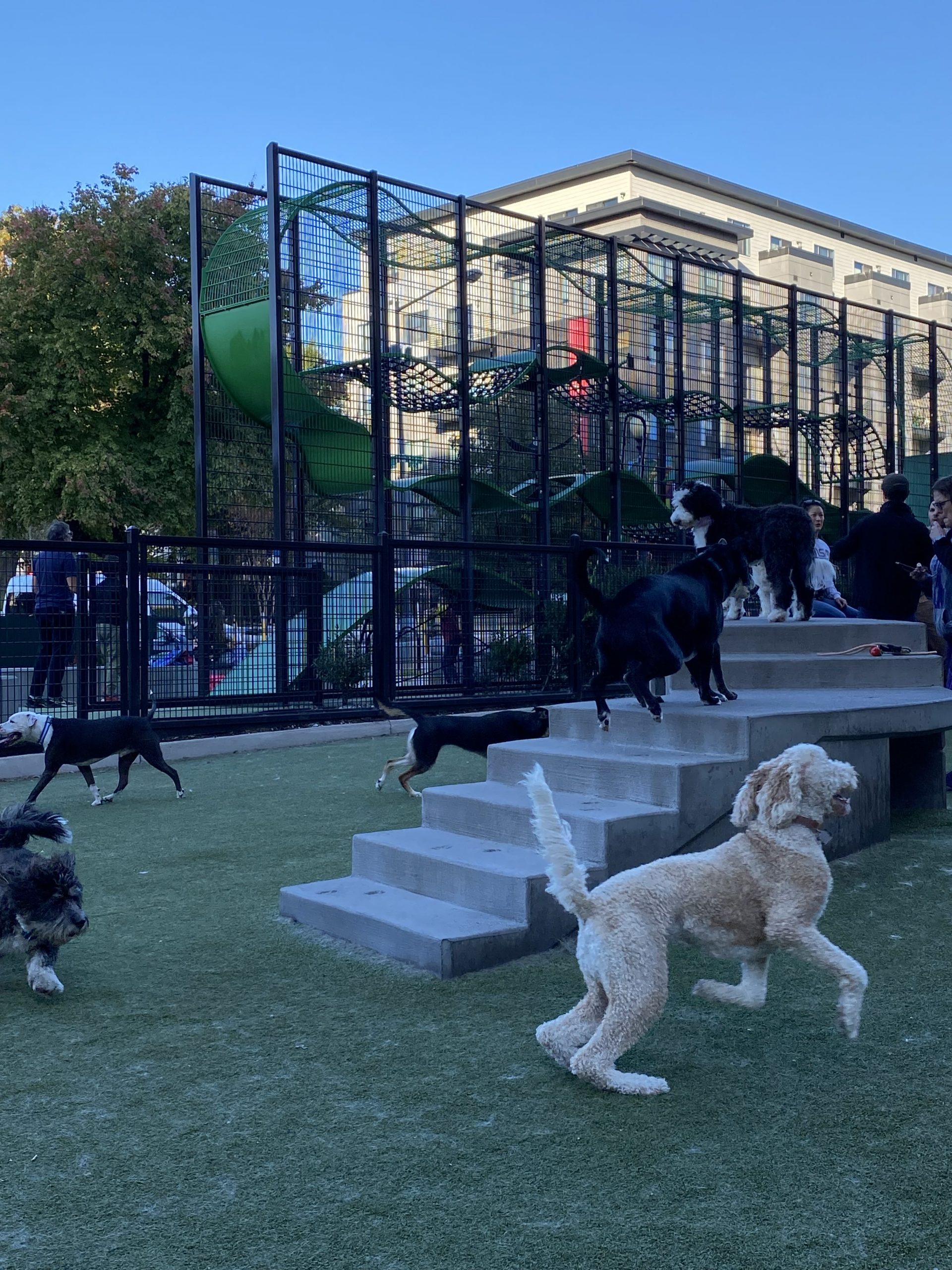 NoMa’s newest green space, Swampoodle Terrace, opens to the community ...