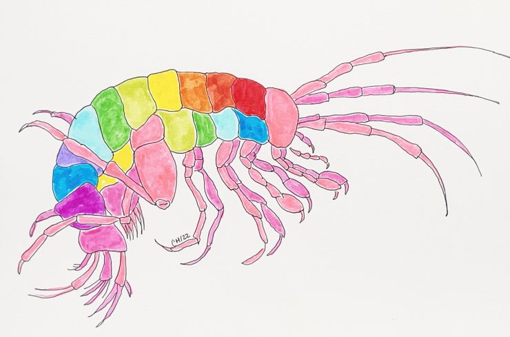 New street art project will bring endangered animals to northwest DC ...