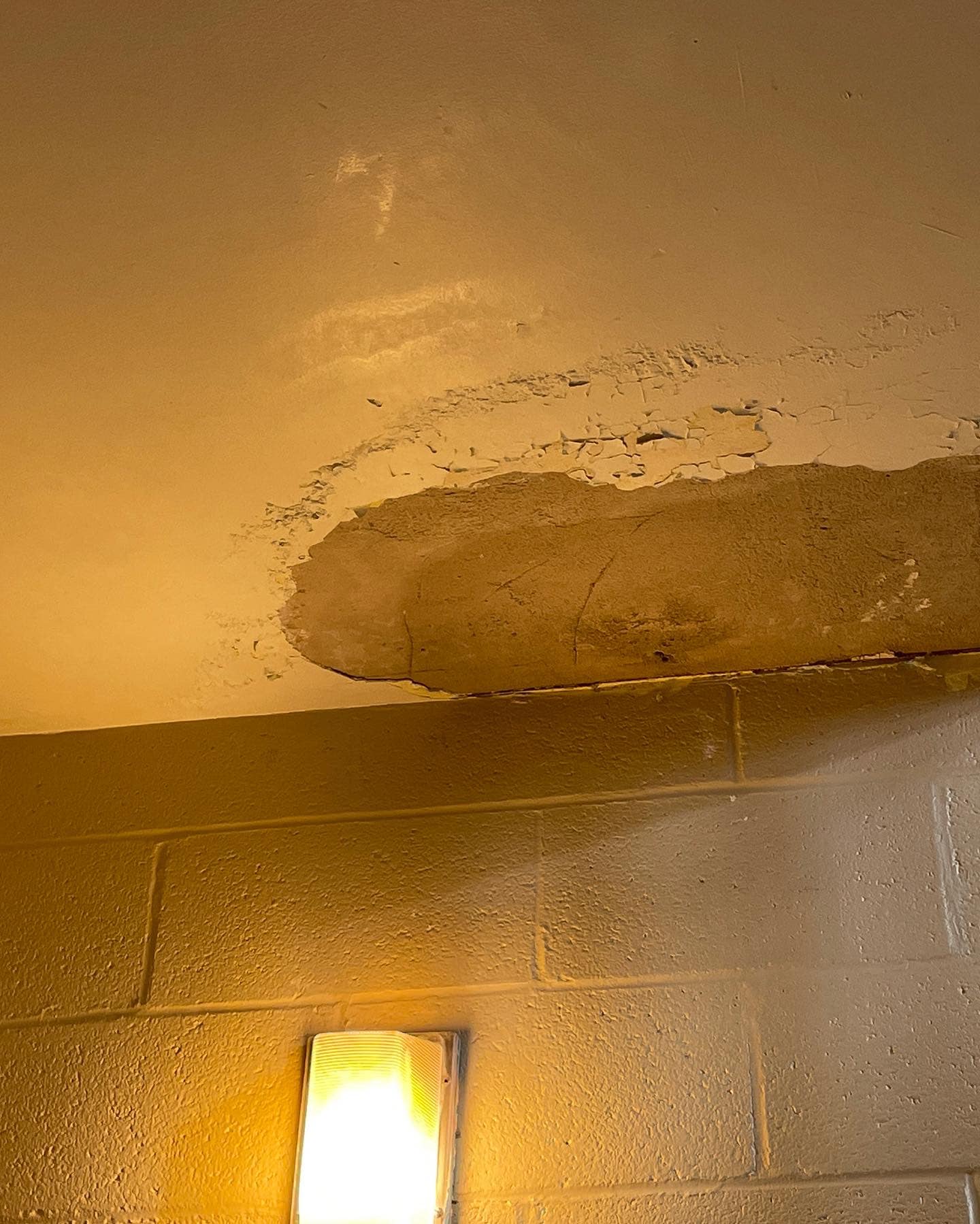 Rat infestation, radiator explosion, mold plague D.C. school - The Wash