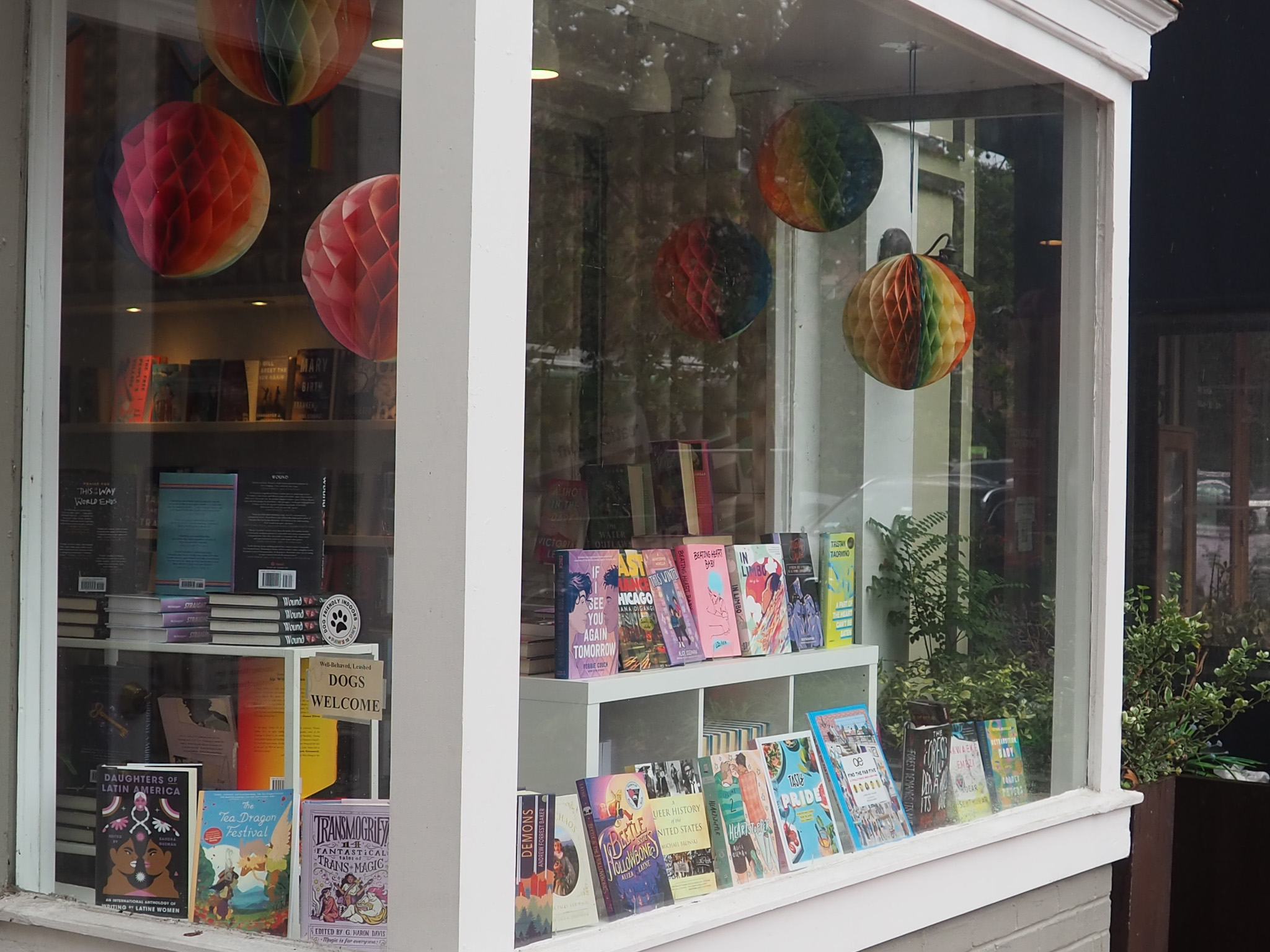 DC Public Library’s fight against banned books - The Wash