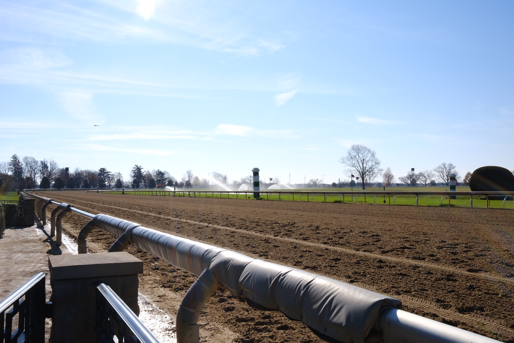 A lifelong horseman reckons with the thoroughbred industry’s future ...