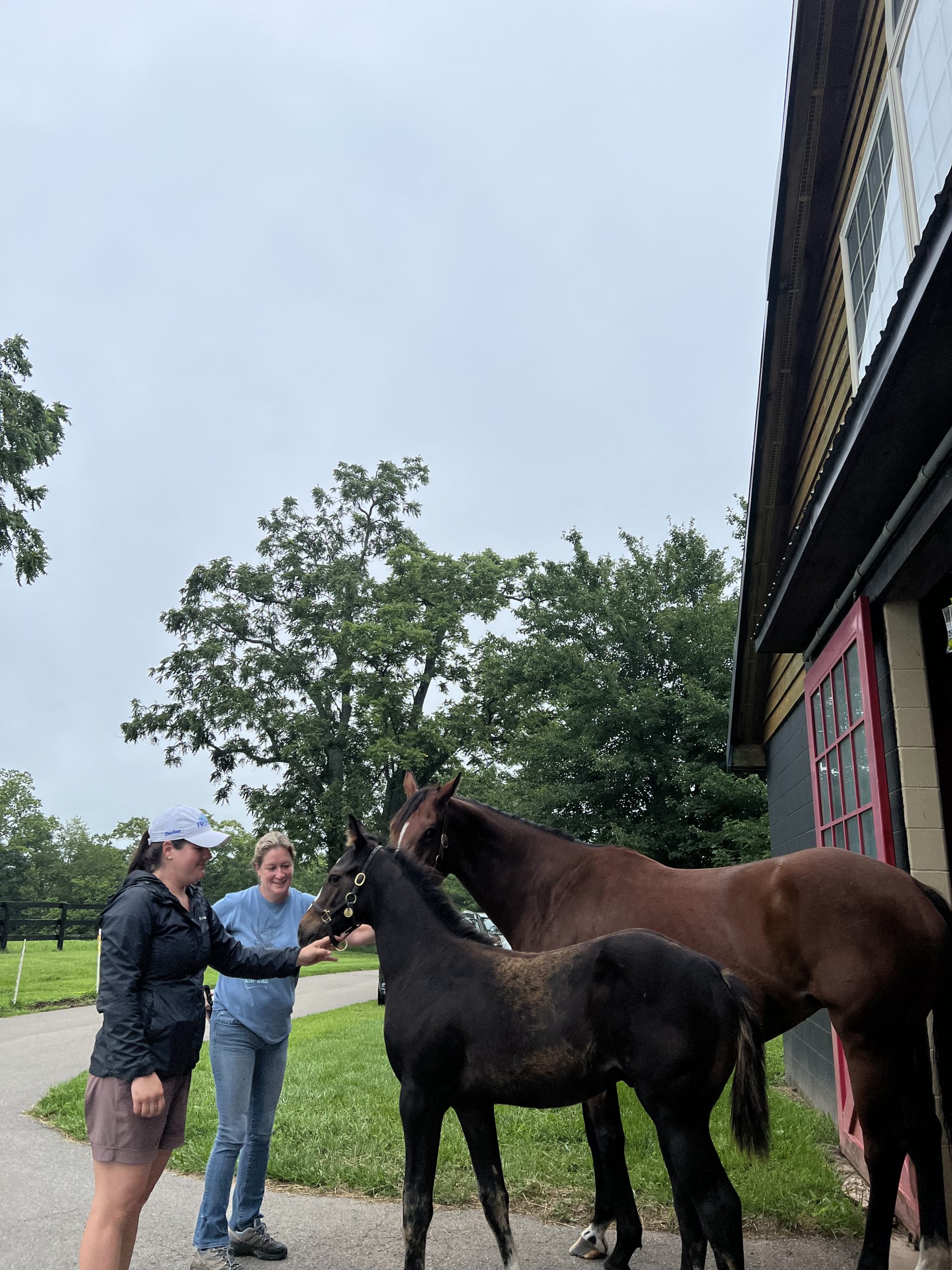 A lifelong horseman reckons with the thoroughbred industry’s future ...