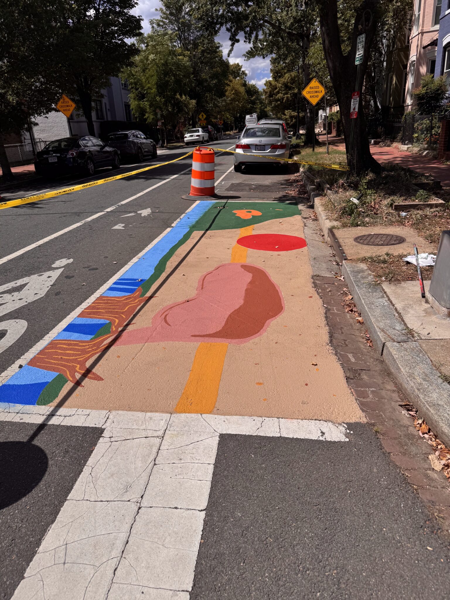 Murals on a mission: Street art making city streets safer - The Wash